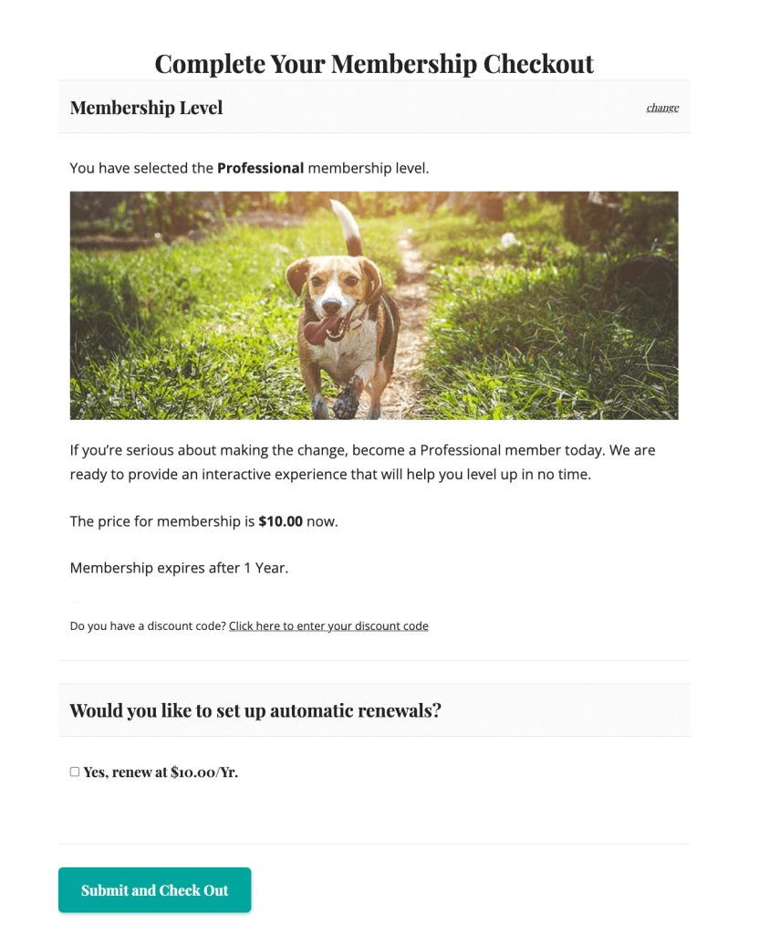 Auto-Renewal Checkbox Add On For Optional Recurring Payments