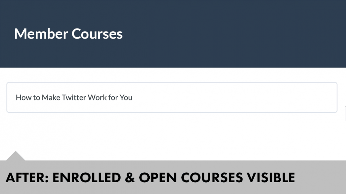 Customize the LearnDash Course List for Members by Level