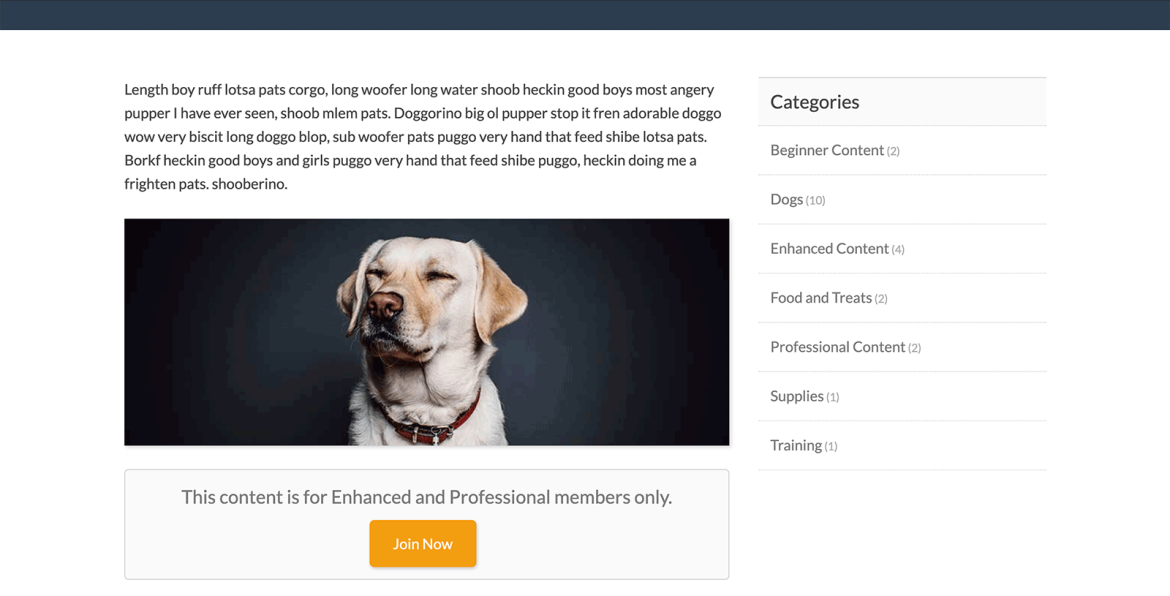 Build a Video Membership Site: Free Video Hosting On YouTube