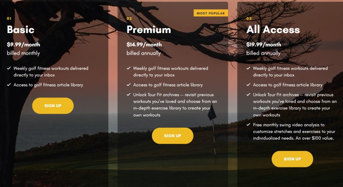 Understand the Difference: Roles and Levels for Membership Sites