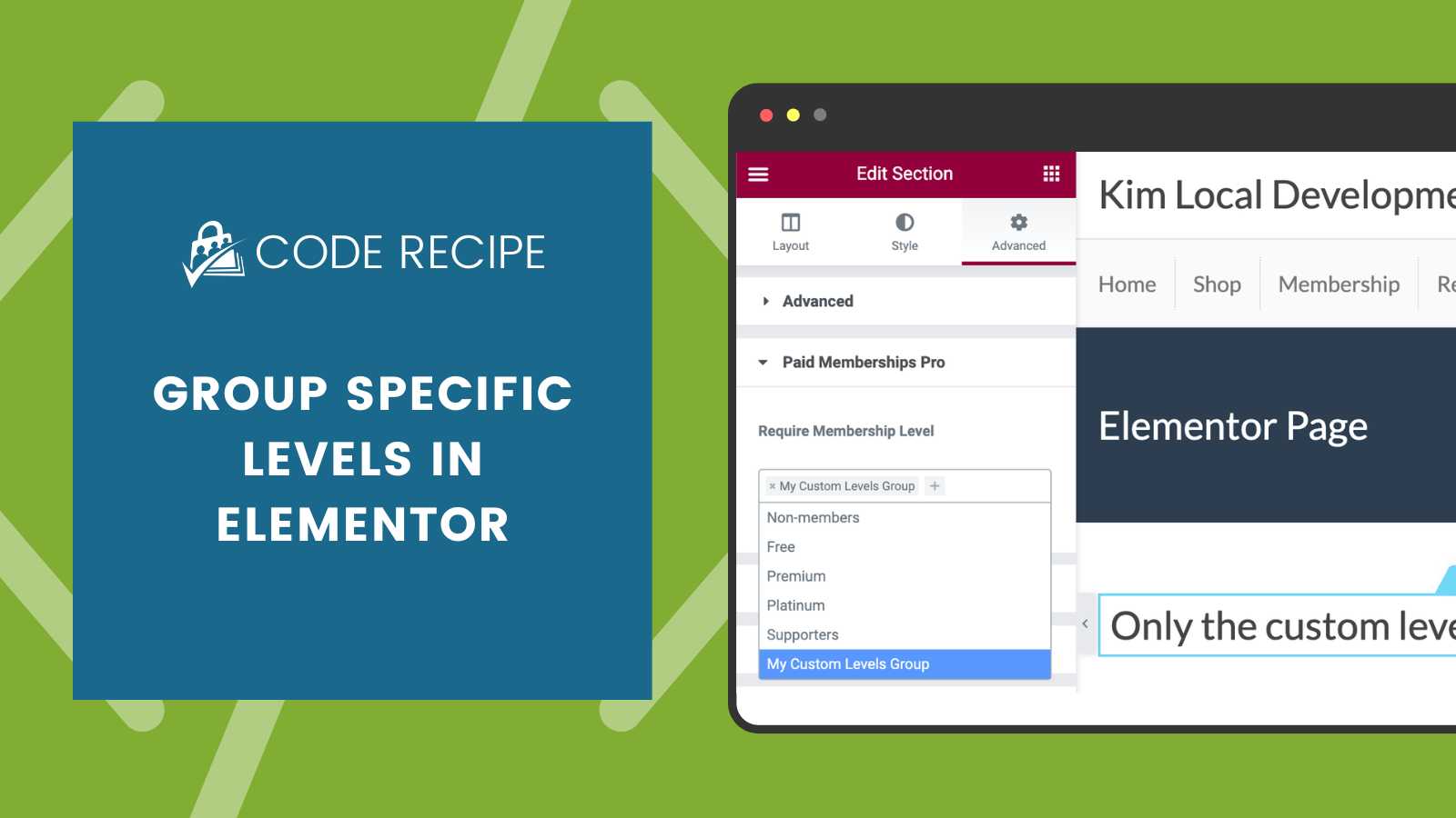 Group Specific Levels in Elementor