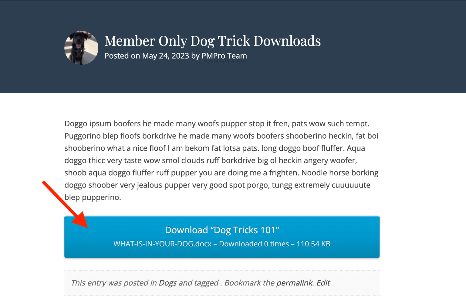 Protect Downloads for Members Only: Download Monitor & PMPro