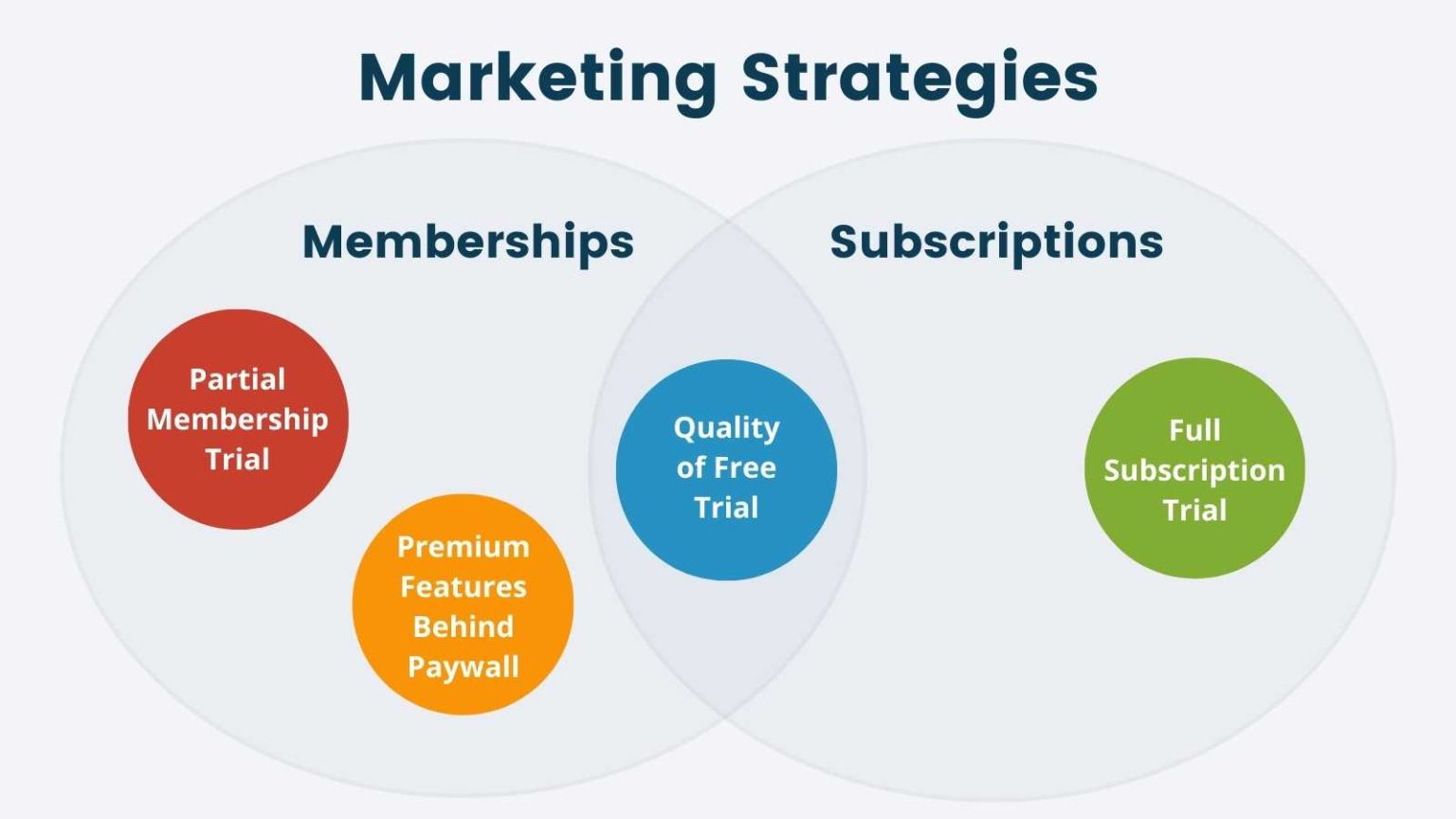 Memberships vs. Subscriptions: What's the Difference?