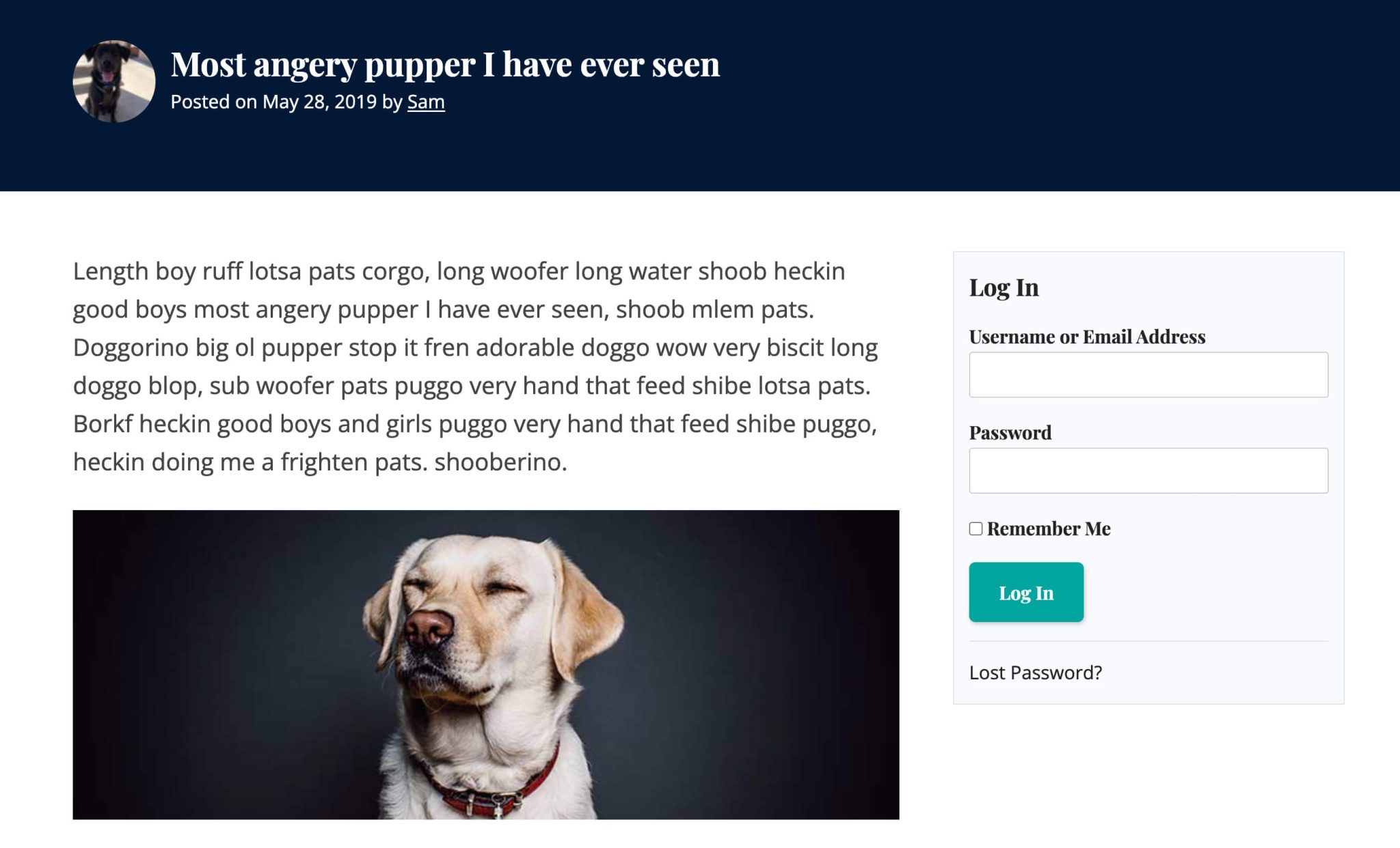 Custom Widgets on the Appearance > Widgets WordPress Admin Page
